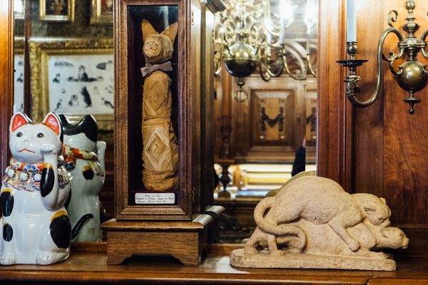 Inside the KattenKabinet: The cat museum in Amsterdam is a cabinet of ...